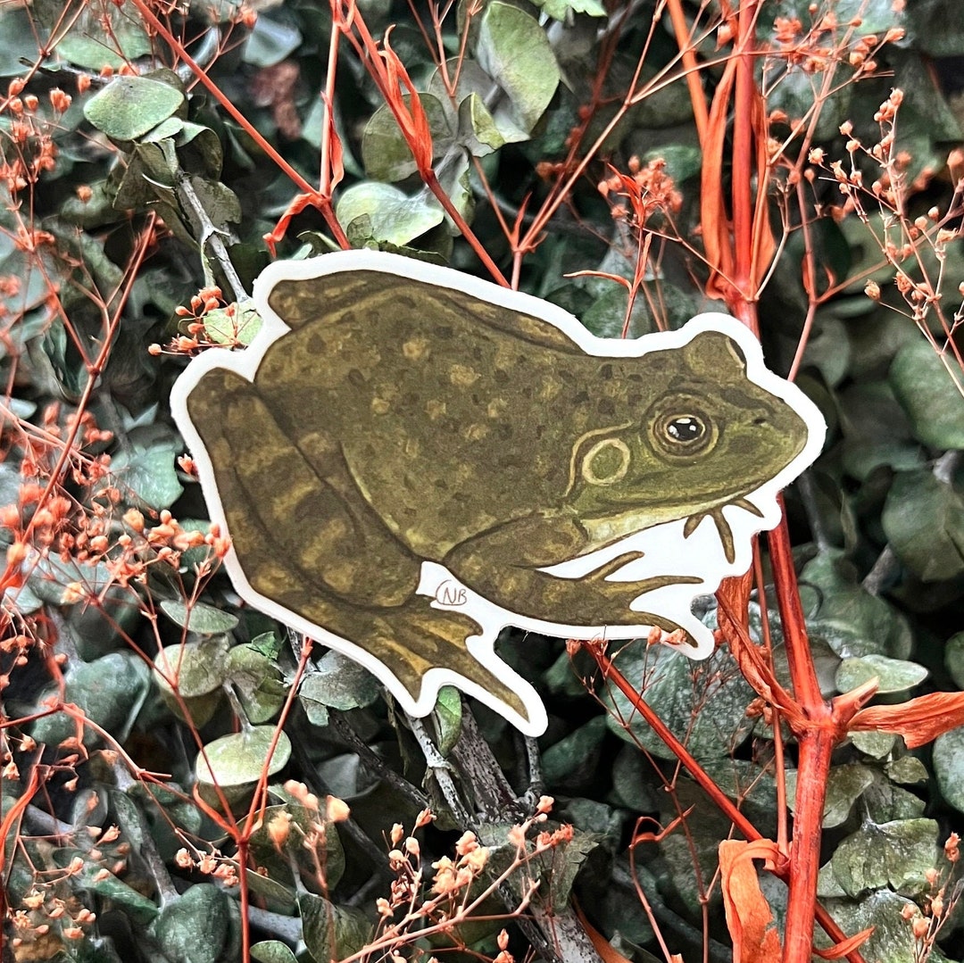 Vinyl American Bullfrog Sticker, Art Sticker, Stickers, Frog Sticker ...