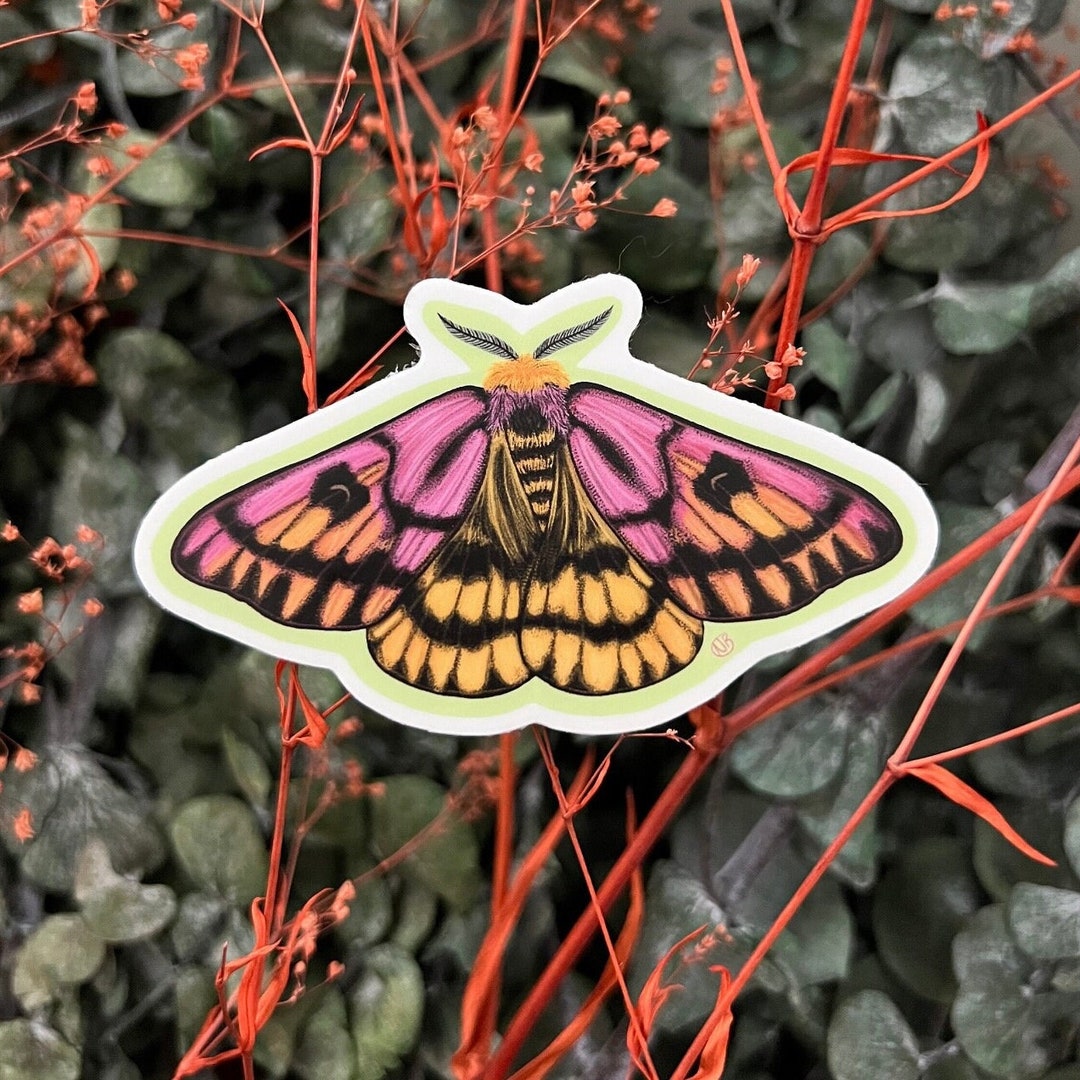 Vinyl Sheep Moth Sticker, Digital Painting, Digital Art Sticker ...