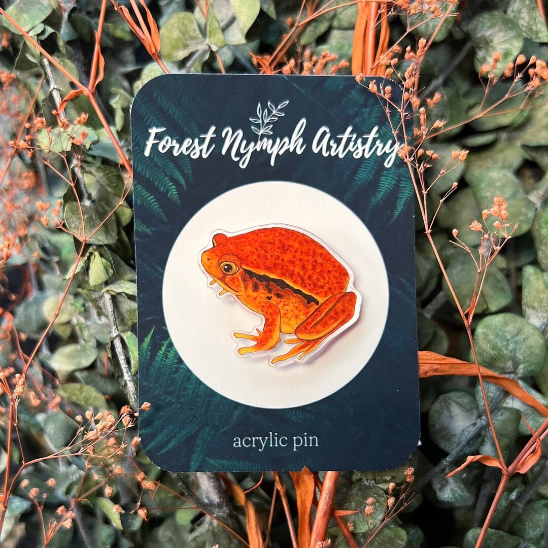 Tomato Frog Acrylic Pin, Pins, Acrylic Pin, Frog Pin, Toad Pin ...