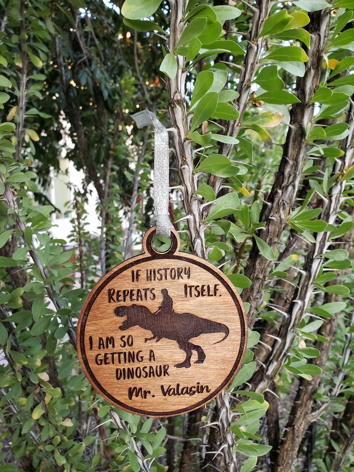 History Teacher, Social Studies, If History Repeats Itself I Am so ...