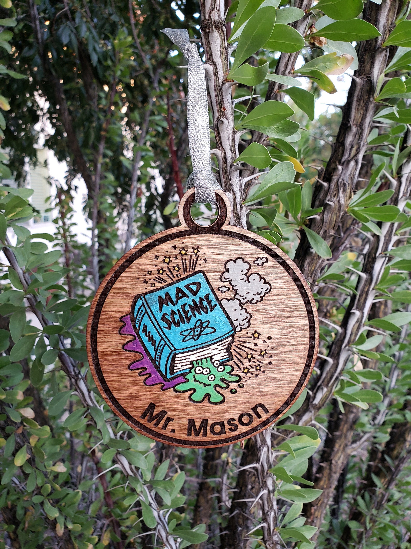 Mad Science Teacher Gift Chemistry Biology Option to | Etsy