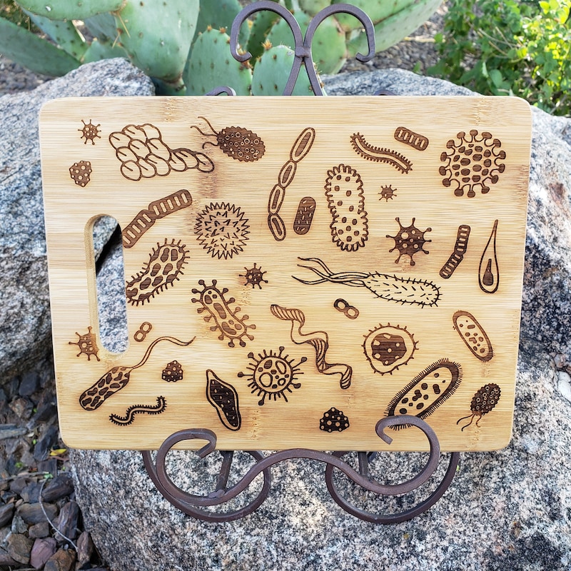 Bacteria - Etsy