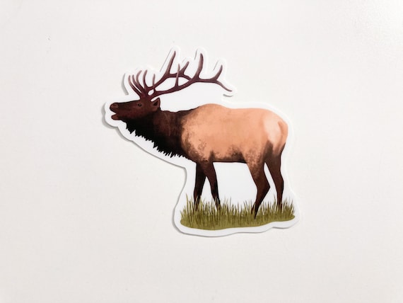 Elk Elk sticker animal sticker 3 sticker laptop | Etsy