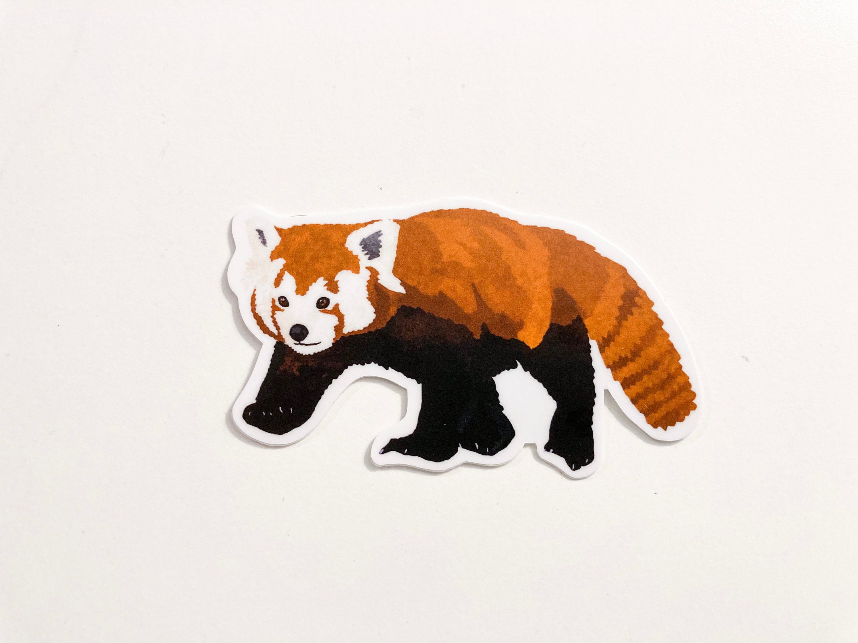 Red Panda Red Panda sticker animal sticker 3 sticker | Etsy