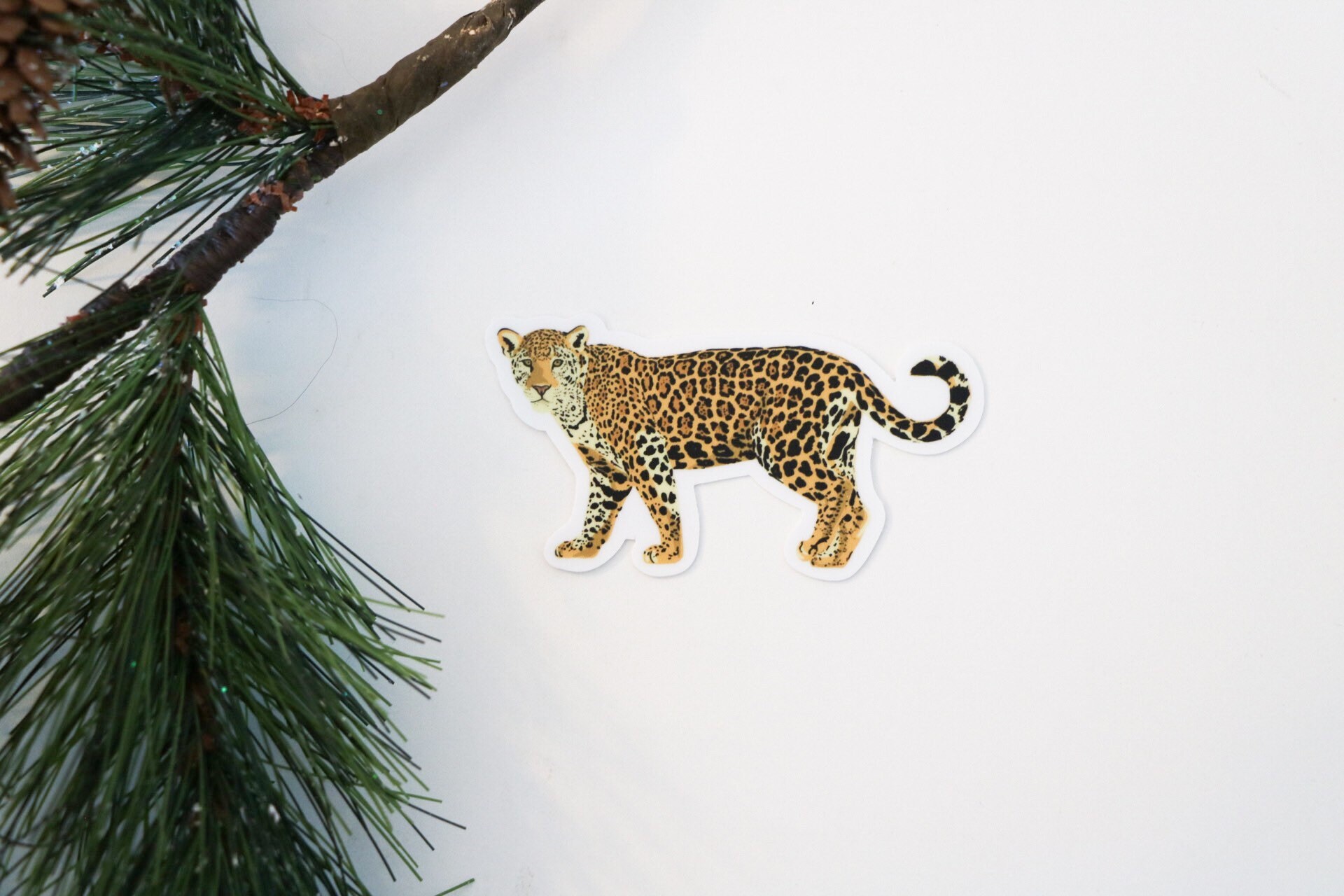 Jaguar Jaguar sticker animal sticker 3 sticker | Etsy