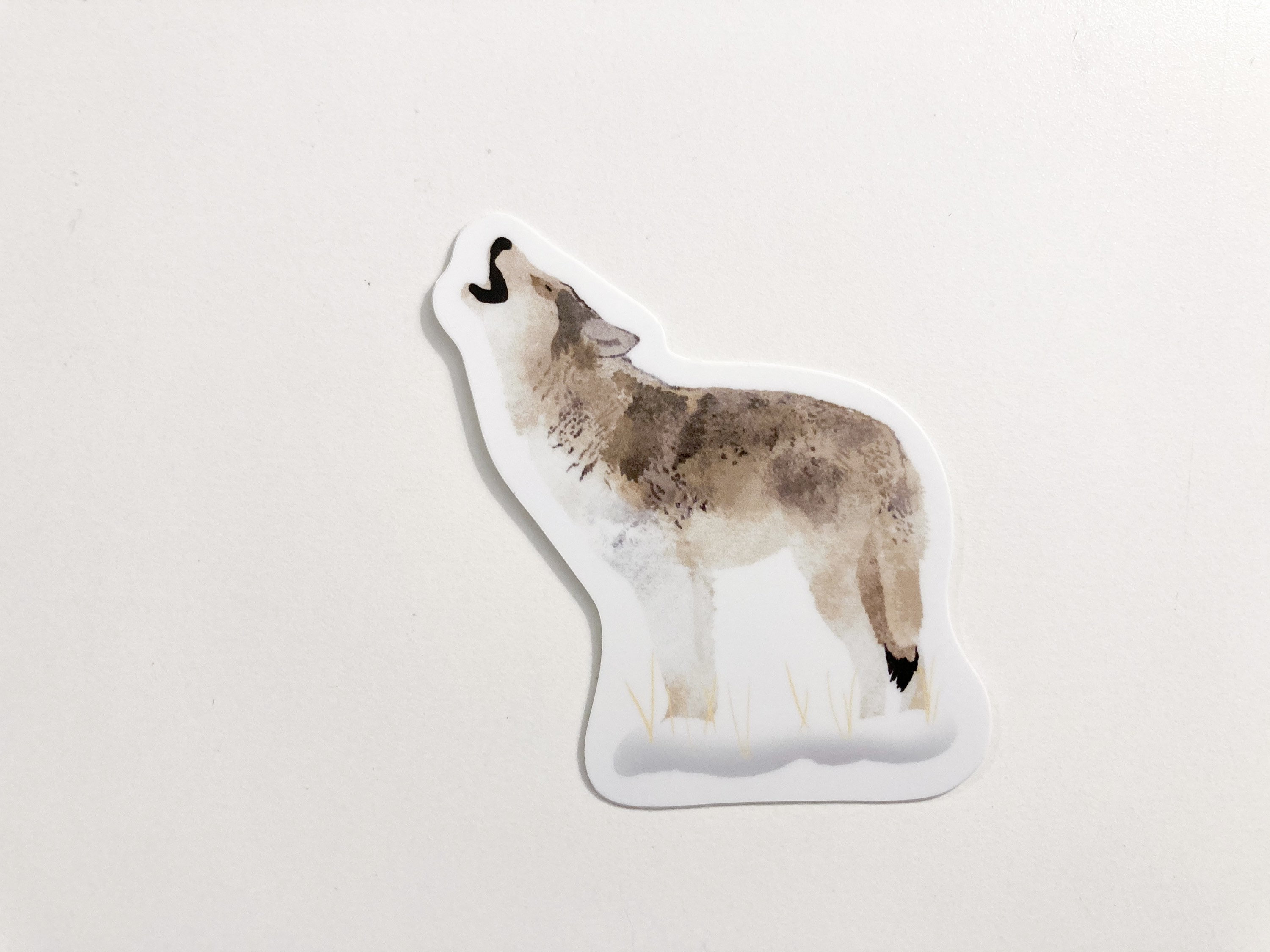 Wolf Wolf Sticker Animal Sticker 3 Sticker Laptop - Etsy UK