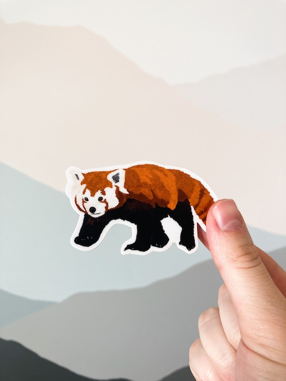Red Panda Red Panda Sticker Animal Sticker 3 Sticker - Etsy