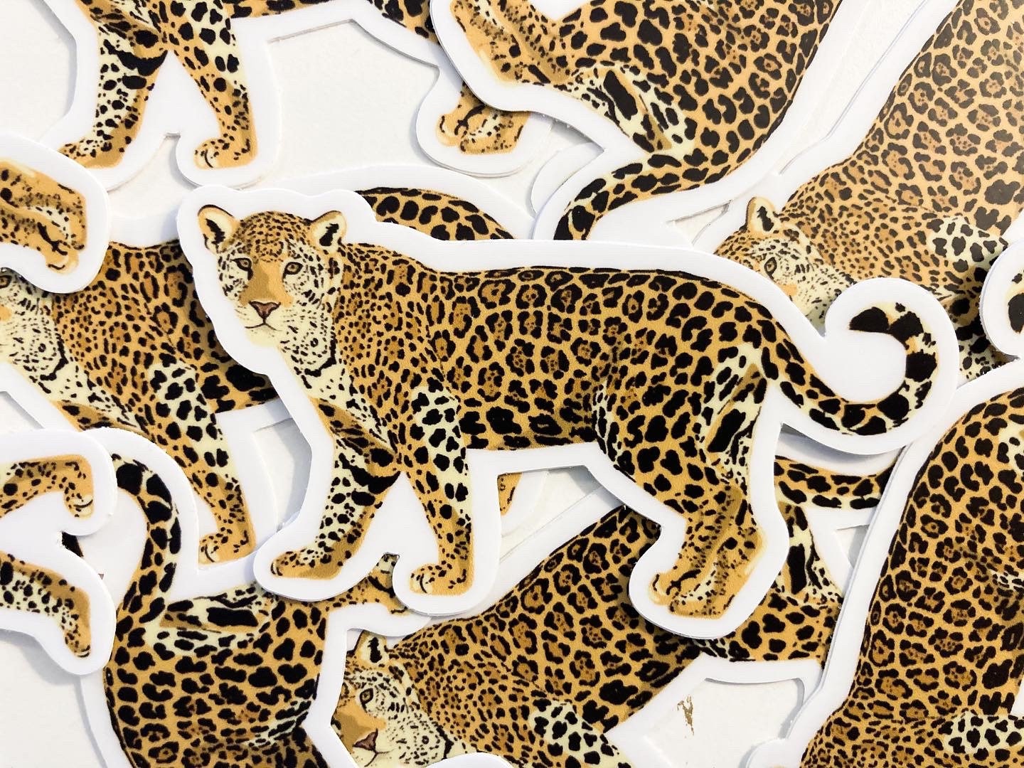 Jaguar Jaguar sticker animal sticker 3 sticker | Etsy