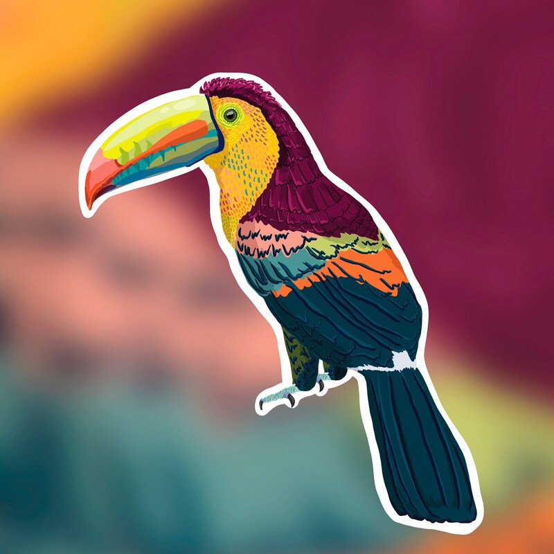 Toucan Art - Etsy