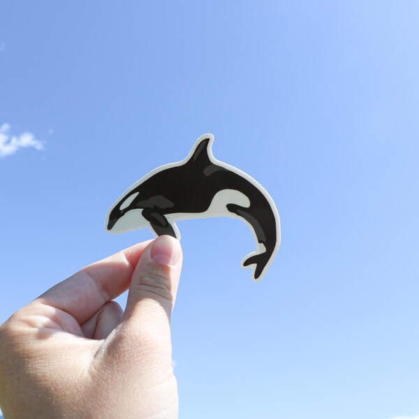 Orca Gifts - 60+ Gift Ideas for 2025