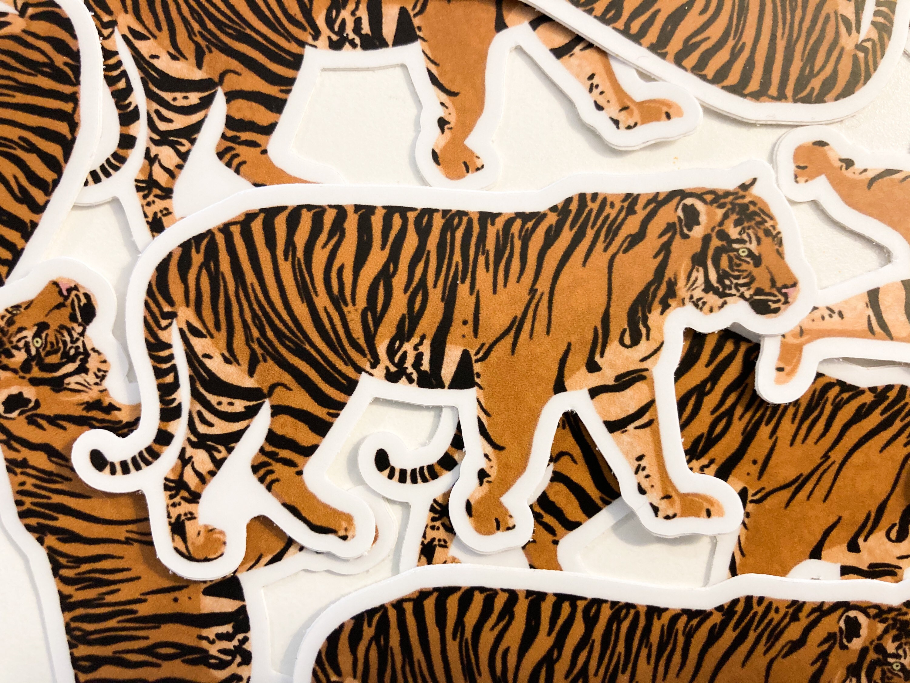 Tiger Tiger sticker animal sticker 3 sticker laptop | Etsy