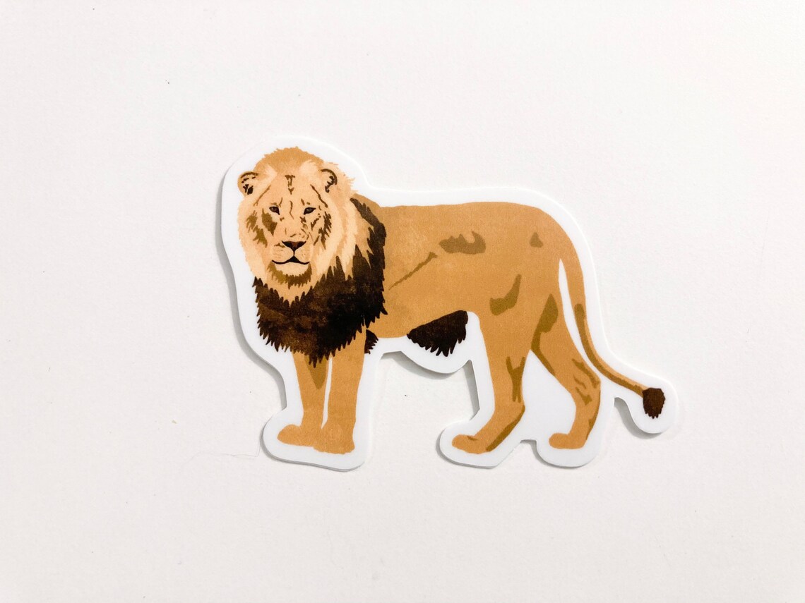 Lion Lion sticker animal sticker 3 sticker laptop - Etsy Italia