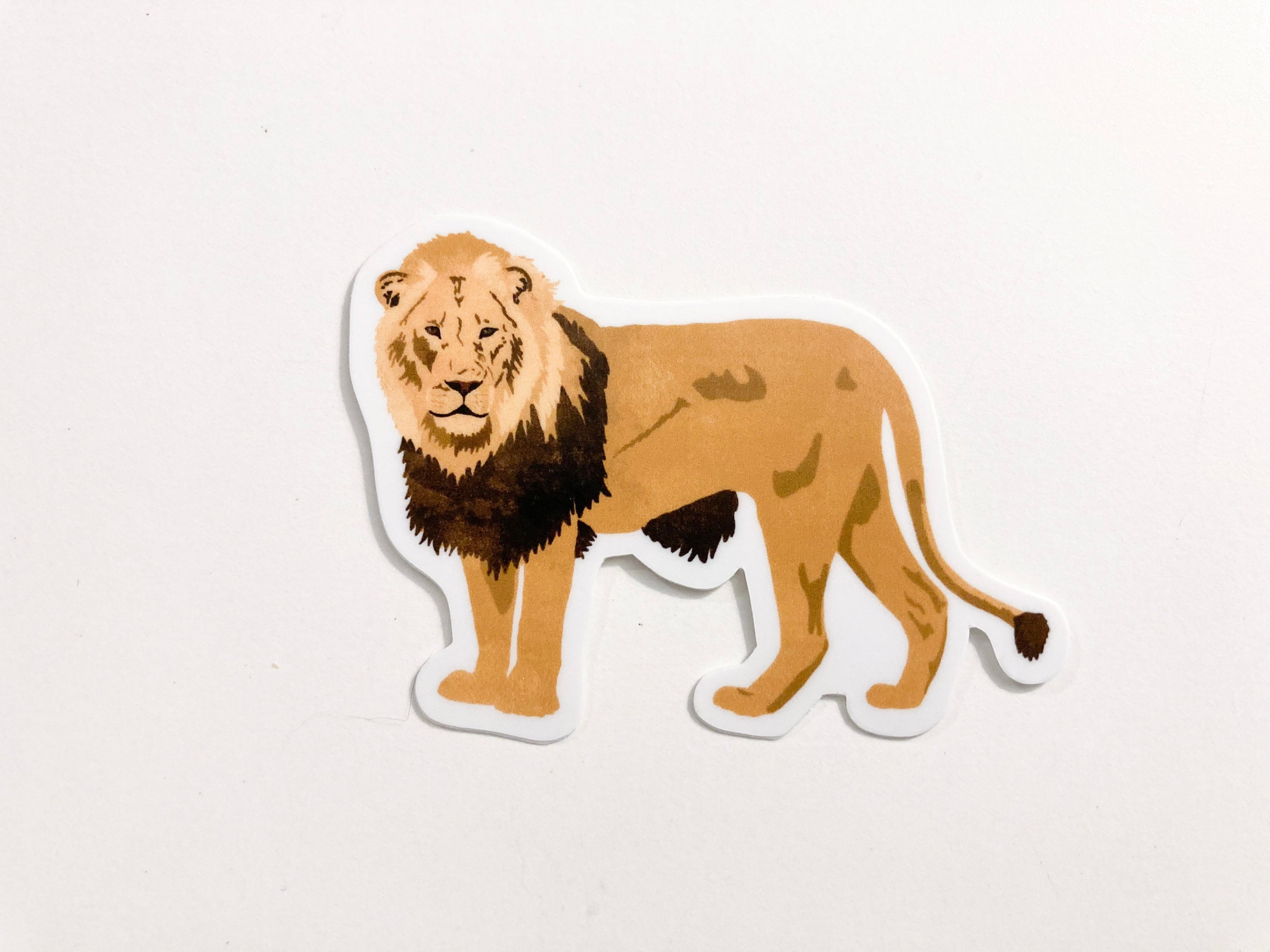 Lion Lion sticker animal sticker 3 sticker laptop | Etsy