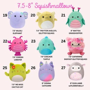 Personalized Bridal Party Squishmallows, Weeding Favor, Bride, Groom ...