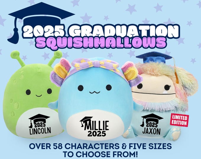 Custom Graduation Squishmallows • Personalized Gift • Custom Plush ...