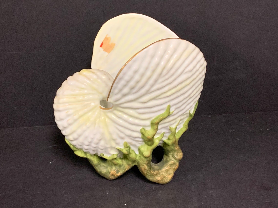 Porcelain Shell Sculpture 7 High | Etsy UK