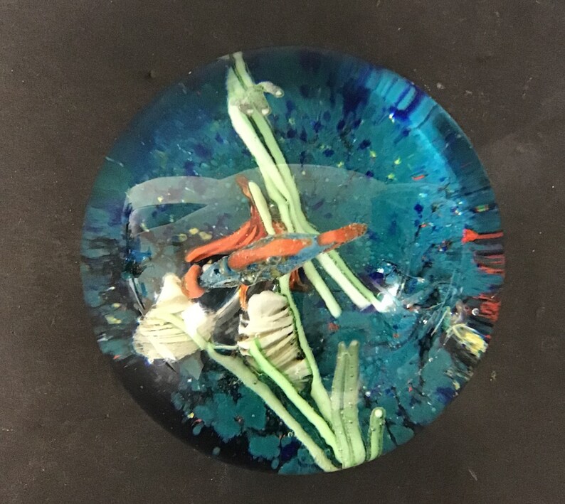 Round Glass Paperweight With Fish - Etsy