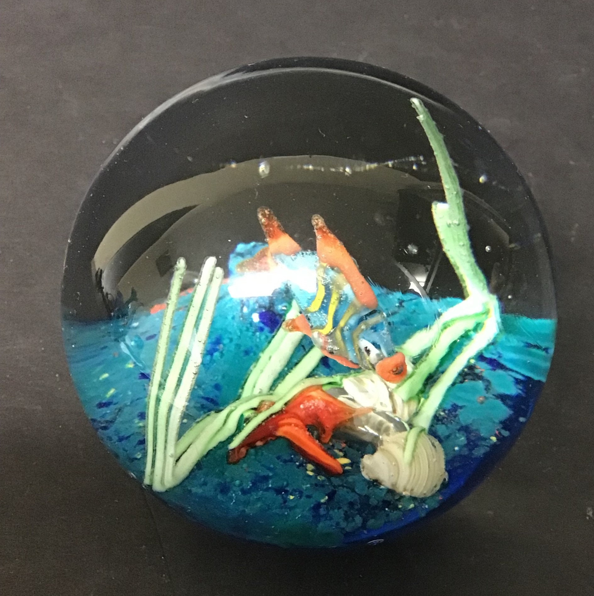 Round Glass Paperweight With Fish - Etsy