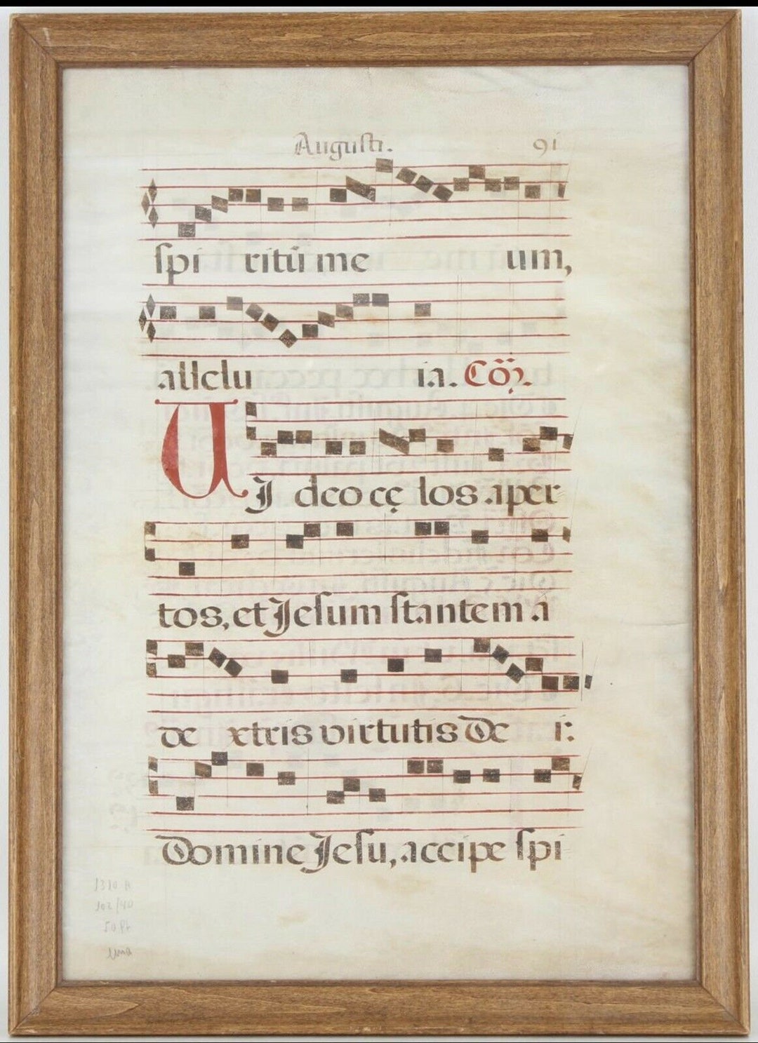 Large Framed 17th Century Antiphonal Music Sheet - Etsy