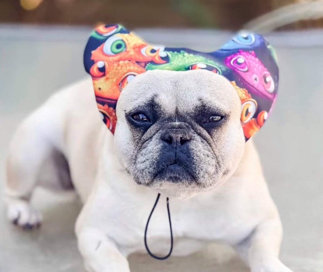 Pet Shower Cap. Dog Shower Cap. Dog, Puppy Grooming. Gift for Doglover ...
