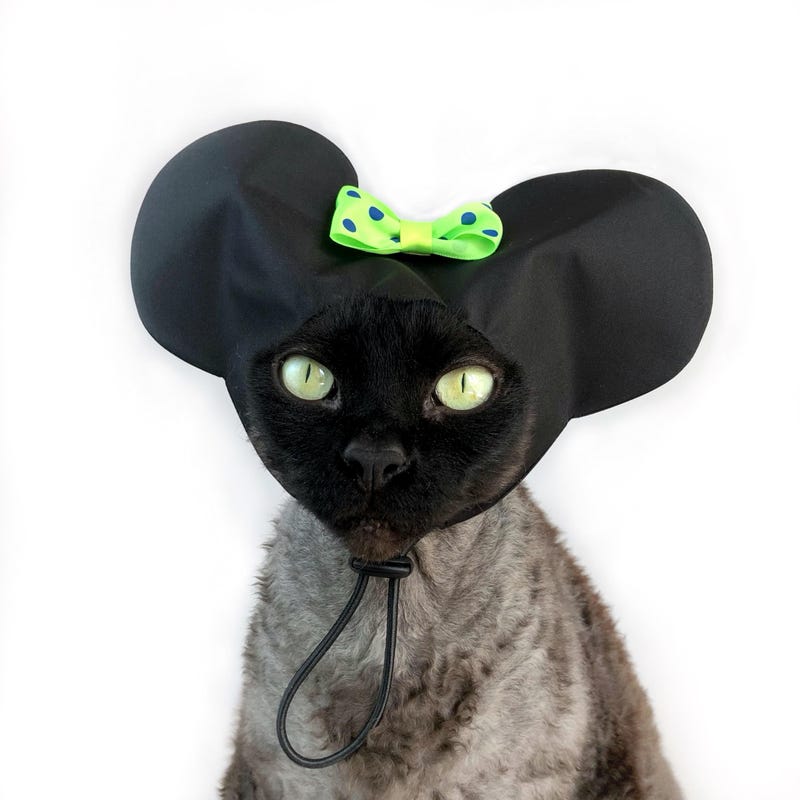 SweetenKitten - Etsy