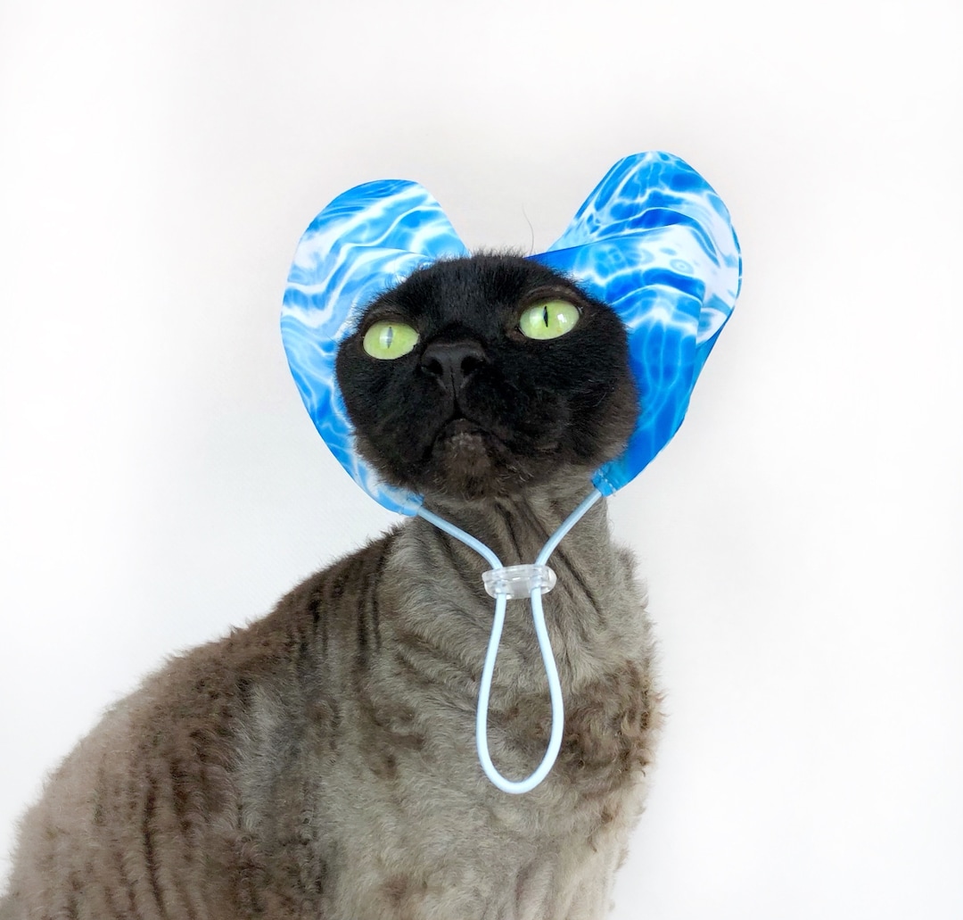 Waterproof Cat Shower Cap: Adjustable Bathing Grooming Cap, Gift for ...