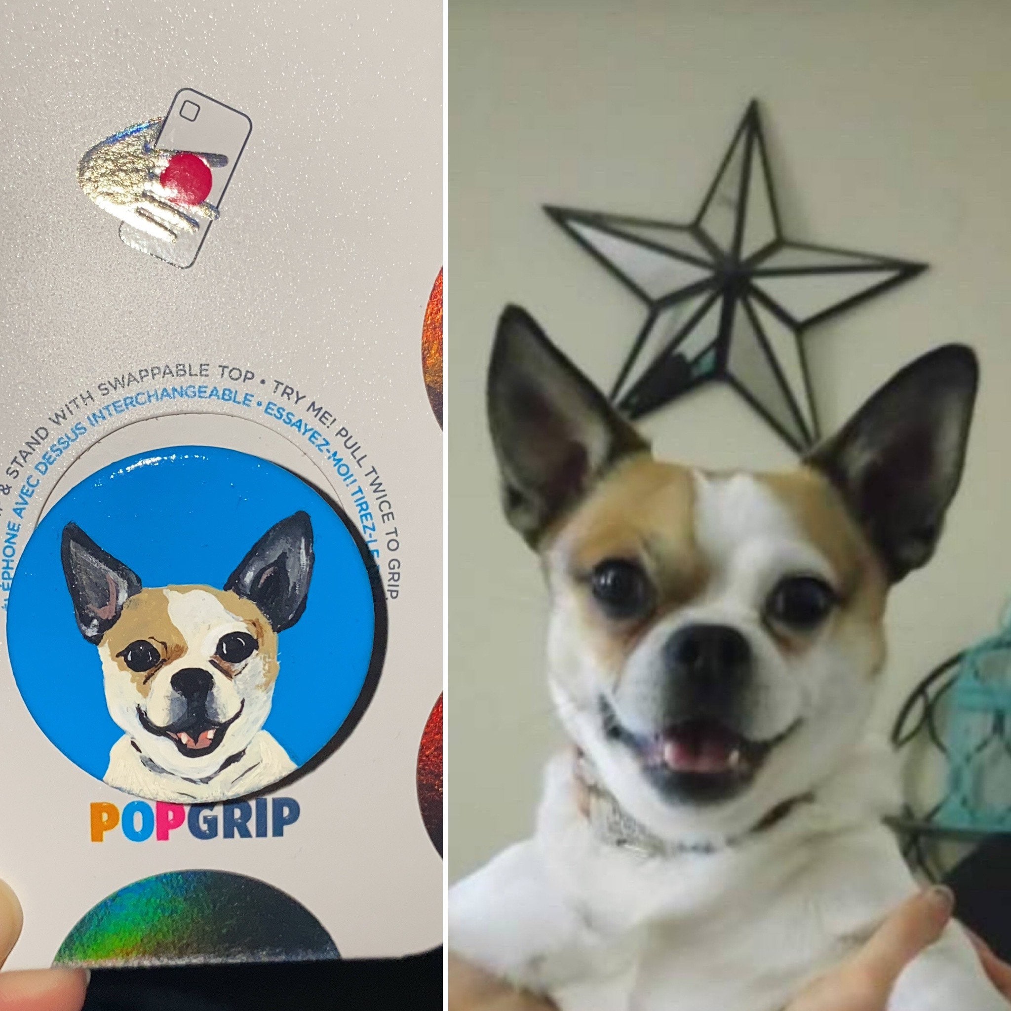 Hand Painted PUP Socket - Etsy