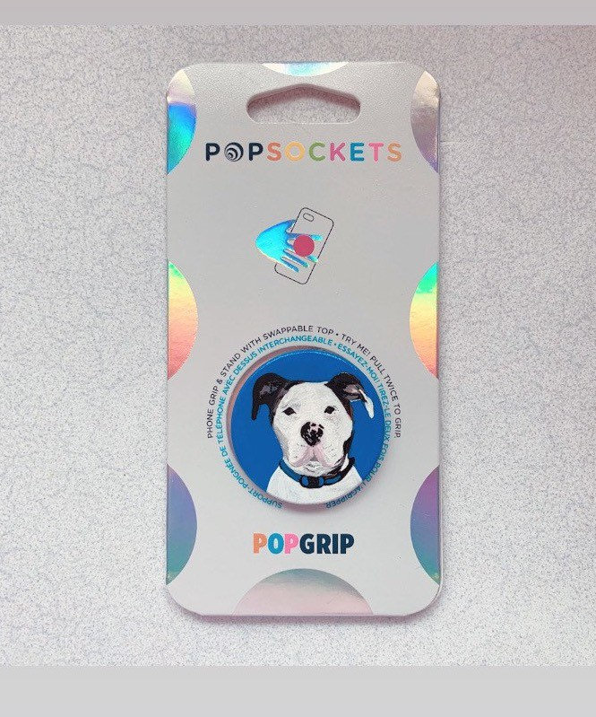 Hand Painted PUP Socket - Etsy