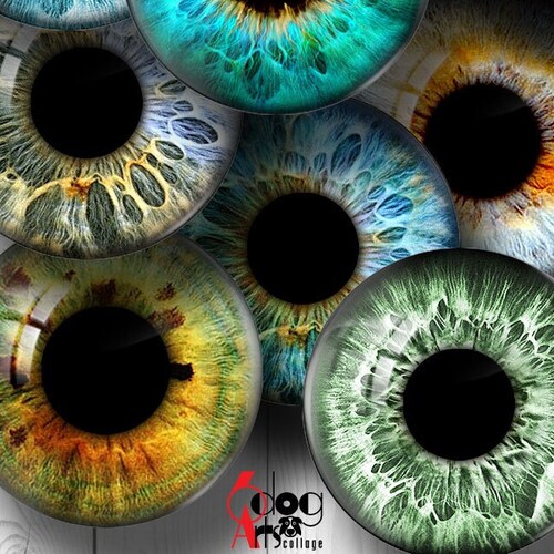 Realistic Eyes W/ SMALL Pupils Digital Collage Sheets - Etsy