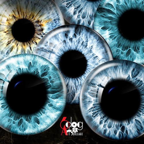 Blue Doll Blythe Eyes Digital Collage Sheets Printable Pupils - Etsy