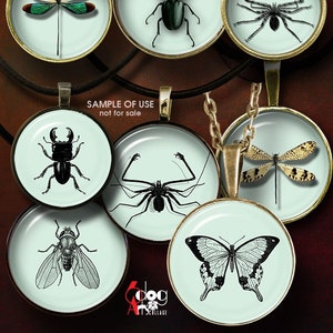 Insects Digital Collage Sheets Printable Instant Download for Pendants ...