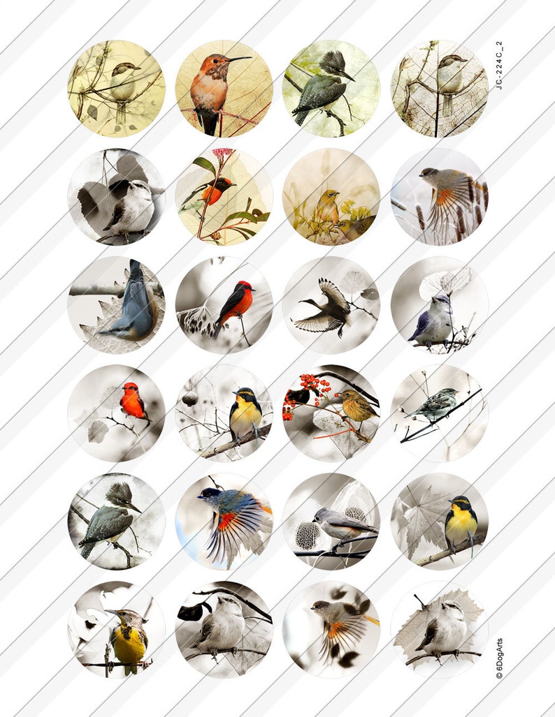 Birds Digital Collage Sheets Printable Downloads Bottle Caps - Etsy