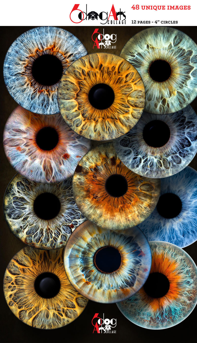 4" Circles Realistic Eye Irises Digital Collage Sheets Printable ...