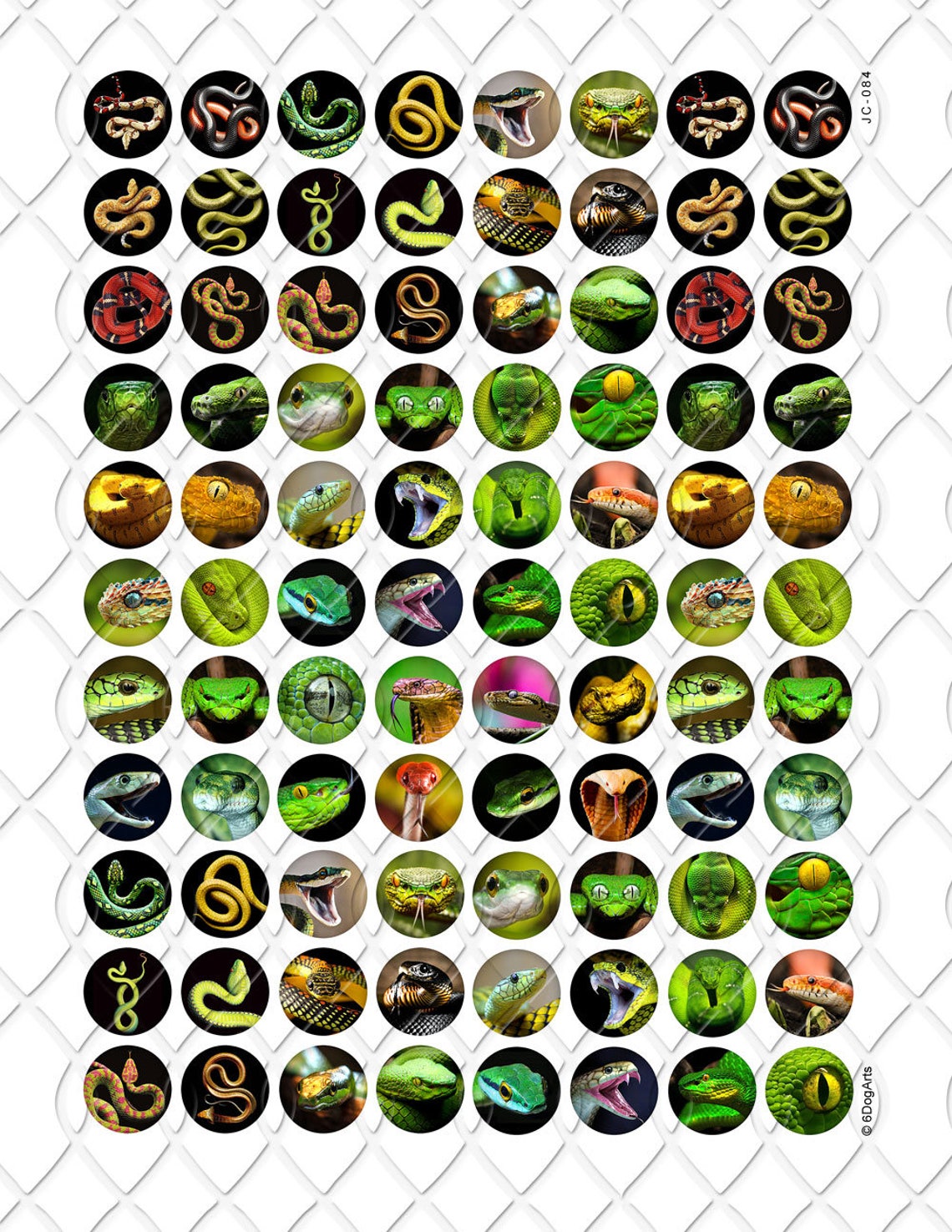 Snakes Digital Collage Sheets Printable Downloads for Mini | Etsy