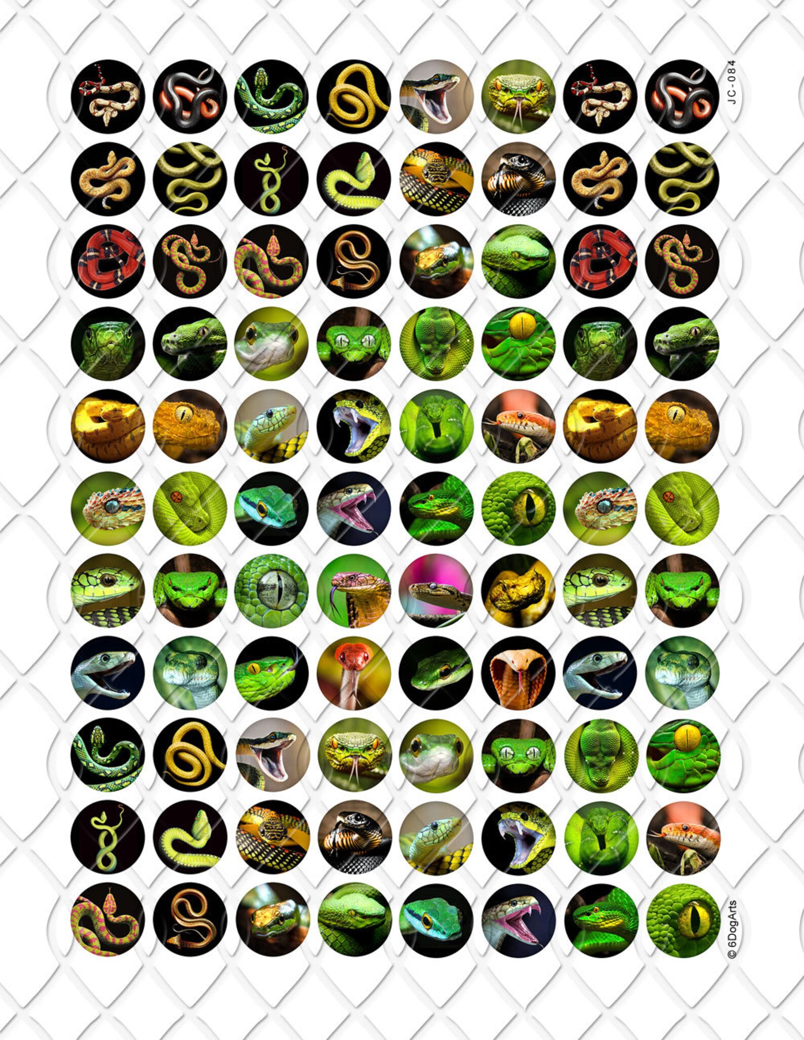 Snakes Digital Collage Sheets Printable Downloads for Mini | Etsy