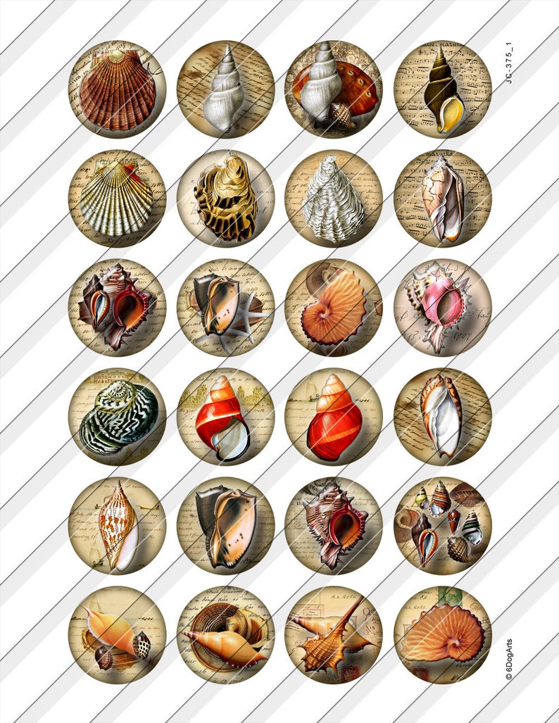 Sea Shells Digital Collage Sheets Printable Download for - Etsy