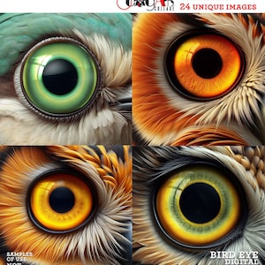 Bird Eyes Digital Collage Sheets Printable Iris Chips for Taxidermy ...