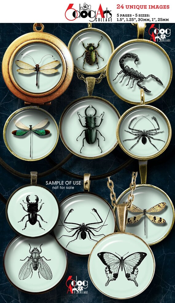 Insects Digital Collage Sheets Printable Instant Download for - Etsy