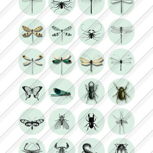 Insects Digital Collage Sheets Printable Instant Download for Pendants ...