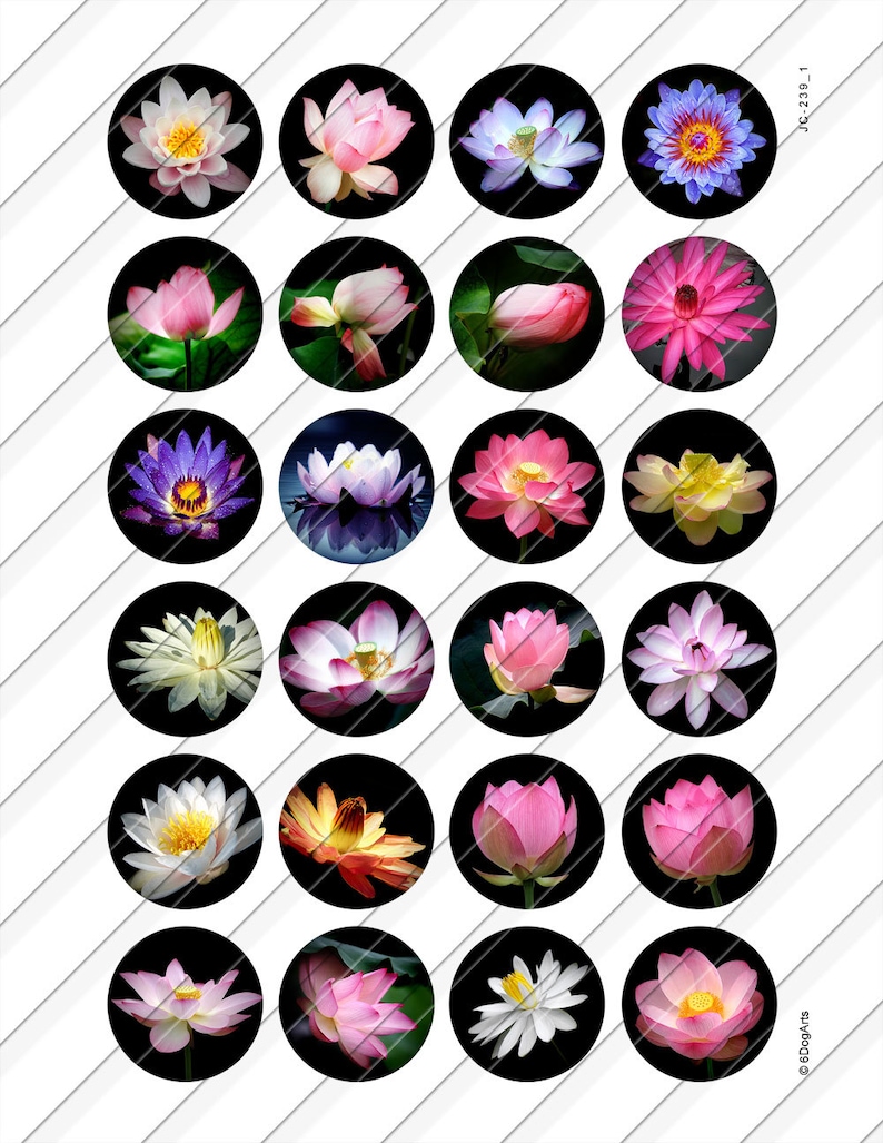 Lotus Flower Digital Collage Sheets Printable Download for - Etsy