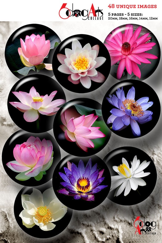 Lotus Flower Digital Collage Sheets Printable Download Mini | Etsy