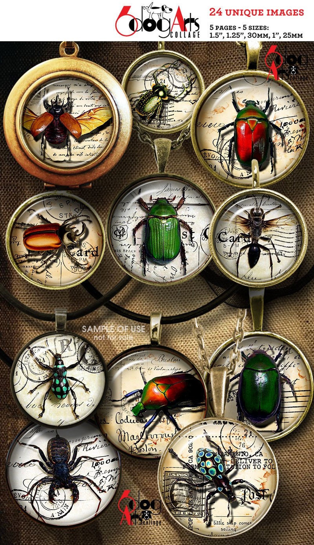 Beetles Digital Collage Sheets Printable Download Pendants - Etsy