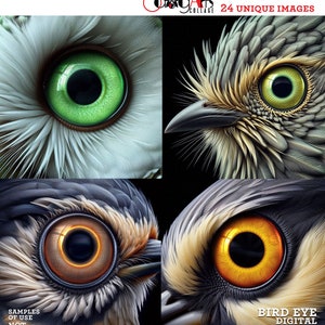 Bird Eyes Digital Collage Sheets Printable Iris Chips for Taxidermy ...