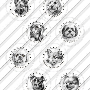 Dog Breeds BW Pencil Drawings Digital Collage Sheets Printable 2.755 ...