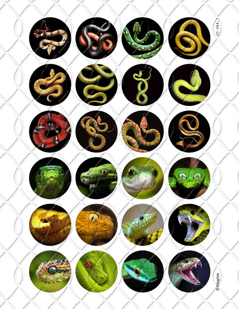 Snakes Digital Collage Sheets Printable Downloads for Mini | Etsy