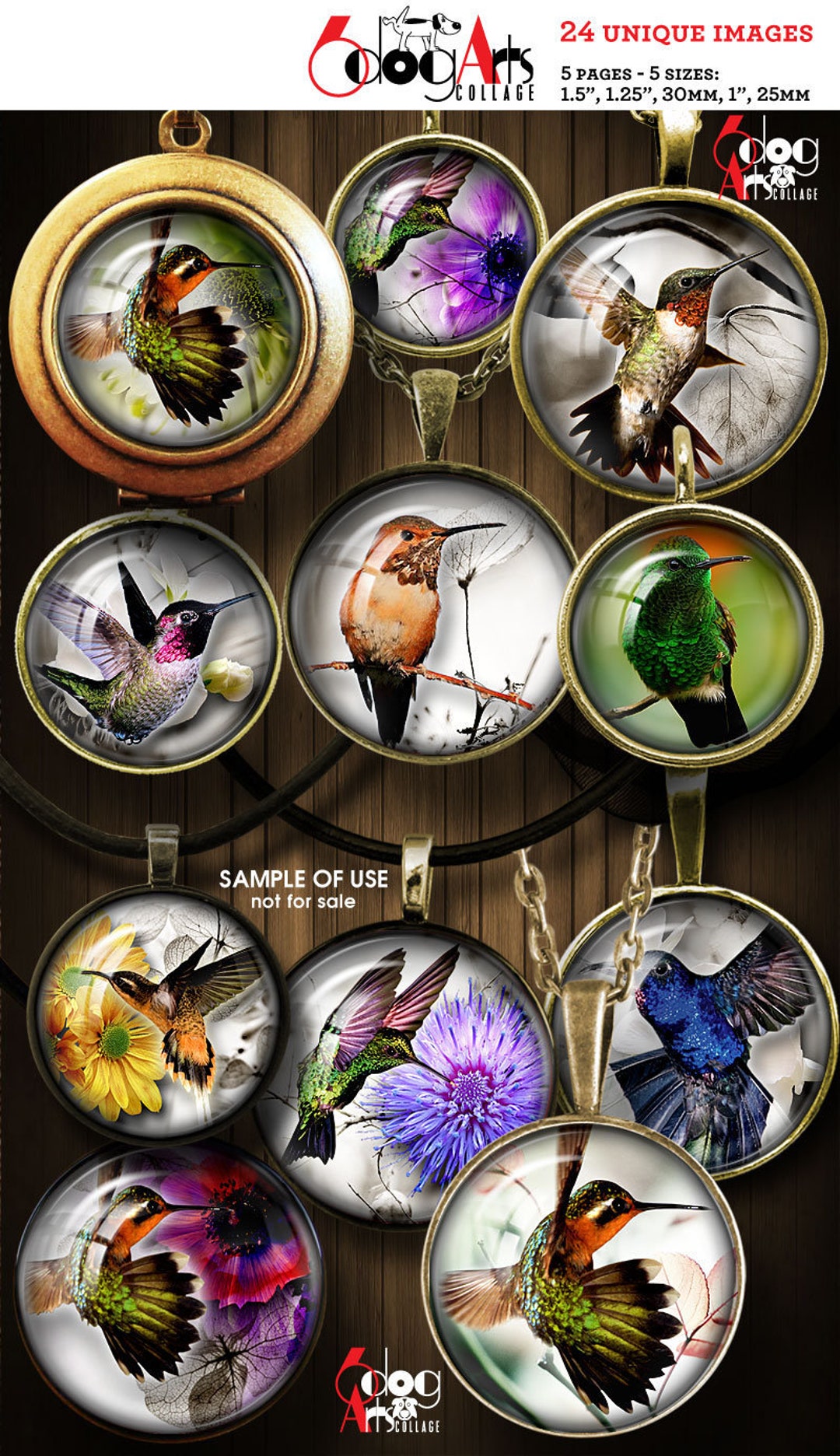 Hummingbird Digital Collage Sheets Printable Download for - Etsy