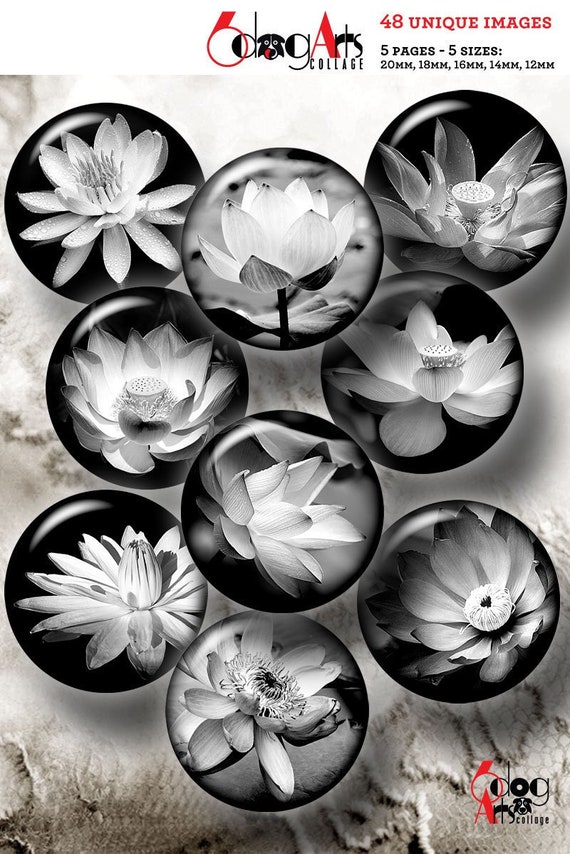 BW Lotus Flower Digital Collage Sheets Printable Download Mini | Etsy