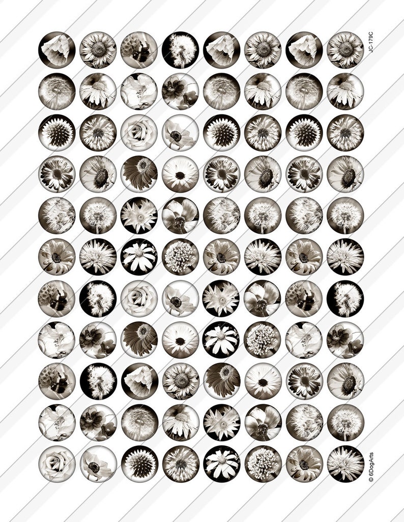 Sepia Flowers Digital Collage Sheets Printable Downloads - Etsy