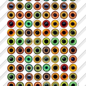 Bird Eyes Digital Collage Sheets Printable Iris Chips for Taxidermy ...