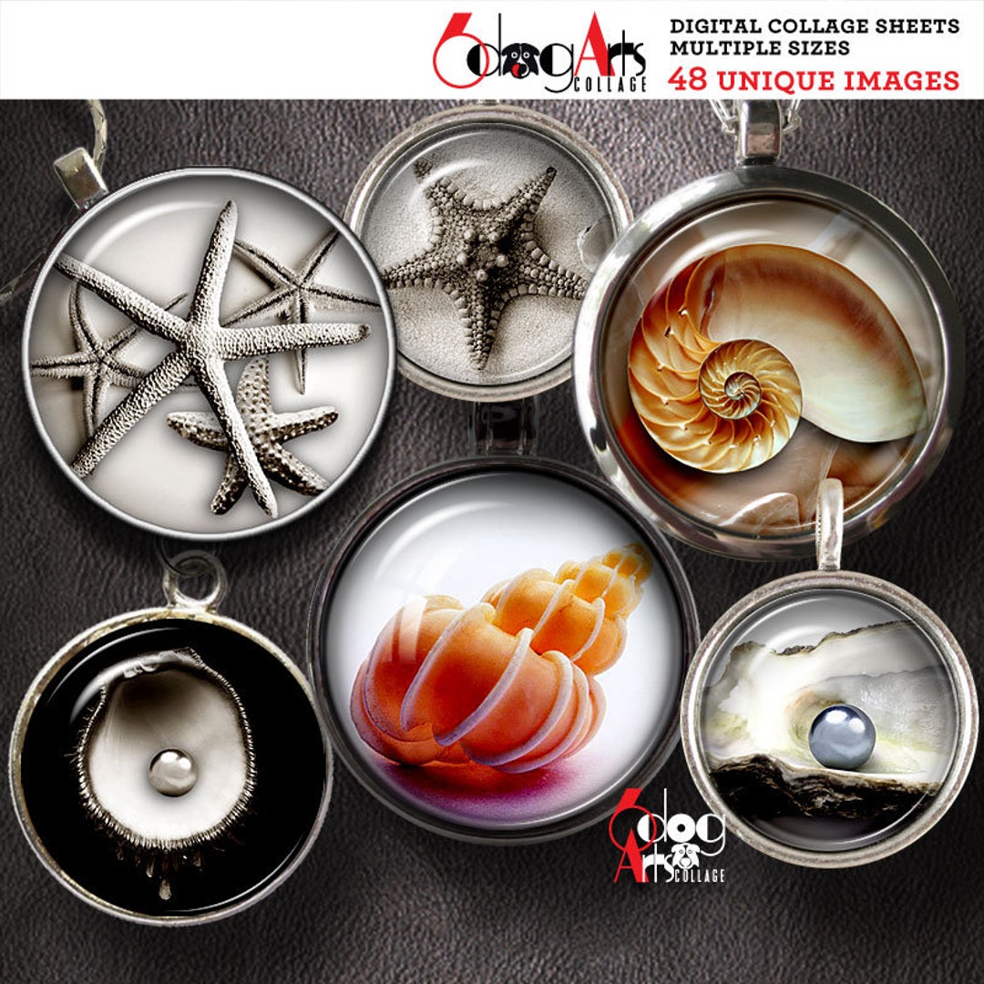 48 Shells Digital Collage Sheets Printable Downloads Cabochons Pendants ...